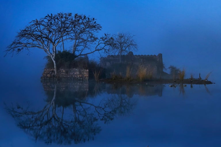 Aditya Dicky Singh - Landscape Photograph Large Nature Lake Trees Water ...
