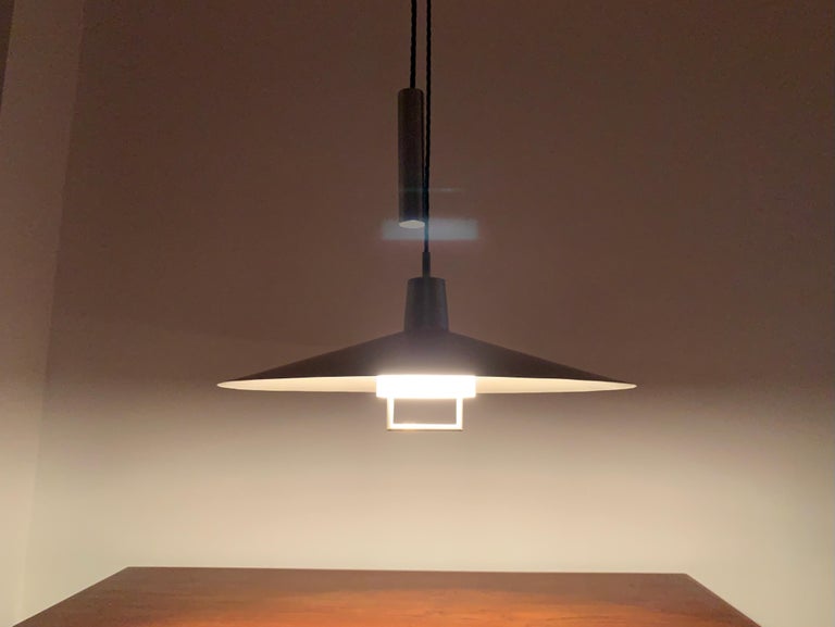 Adjustable Pendant Lamp with Counterweight For Sale at 1stDibs