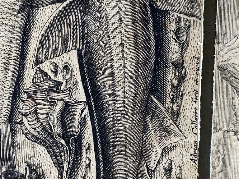Adriaen Collaert - 17th century flemish engraving of fishes in front of ...