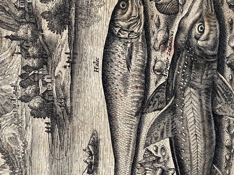 Adriaen Collaert - 17th century flemish engraving of fishes in front of ...