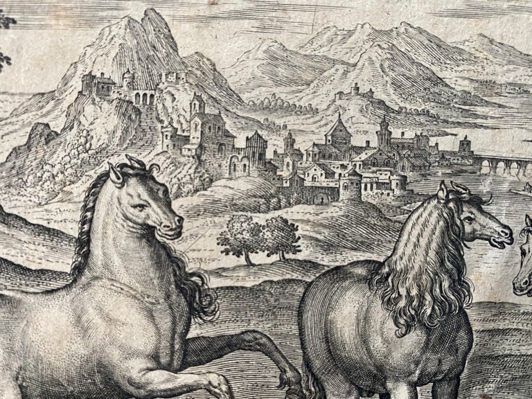 Adriaen Collaert - 17th century flemish engraving of horses in front of ...