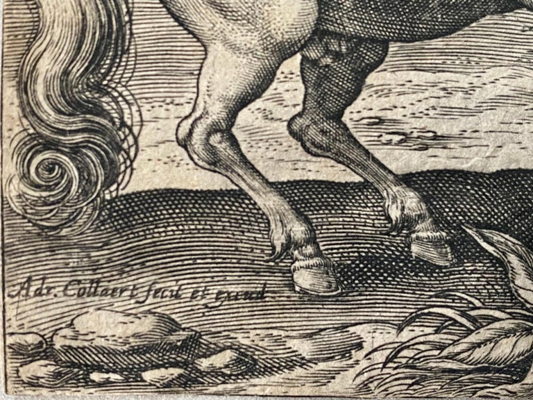 Adriaen Collaert - 17th century flemish engraving of horses in front of ...
