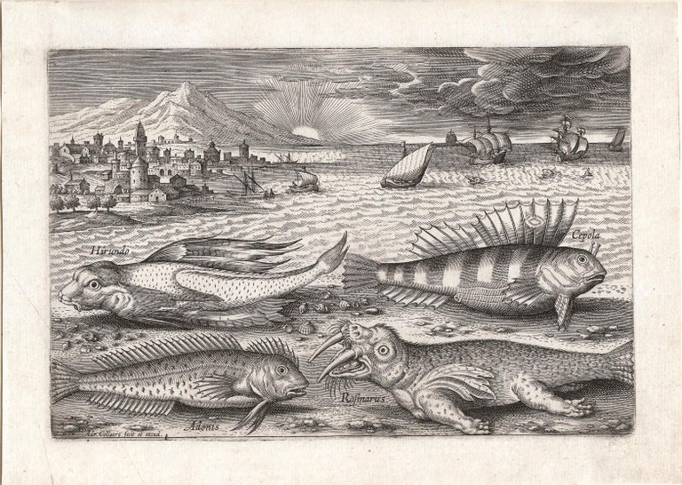 Adriaen Collaert – Antiker Stich ""Piscum Vivae Icones", Fische, Meeres ...