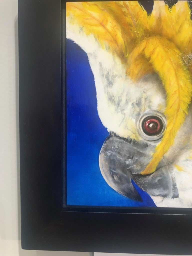 Adrienne Sherman - Lesser Sulphur Crested Cocatoo For Sale at 1stDibs