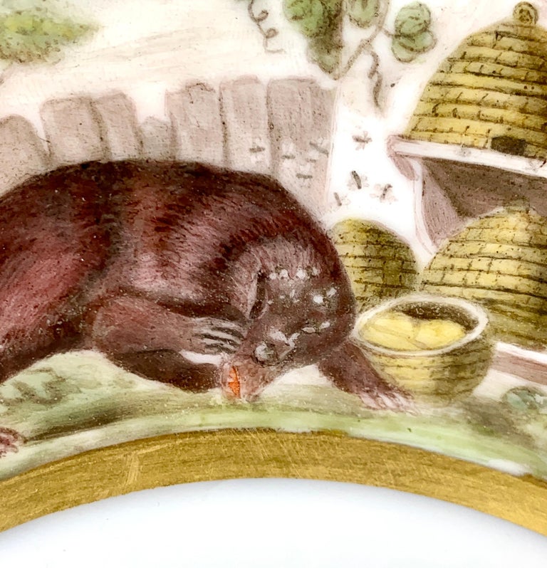 Aesop's Fables Animals on Antique French Porcelain Plate Hand Painted ...