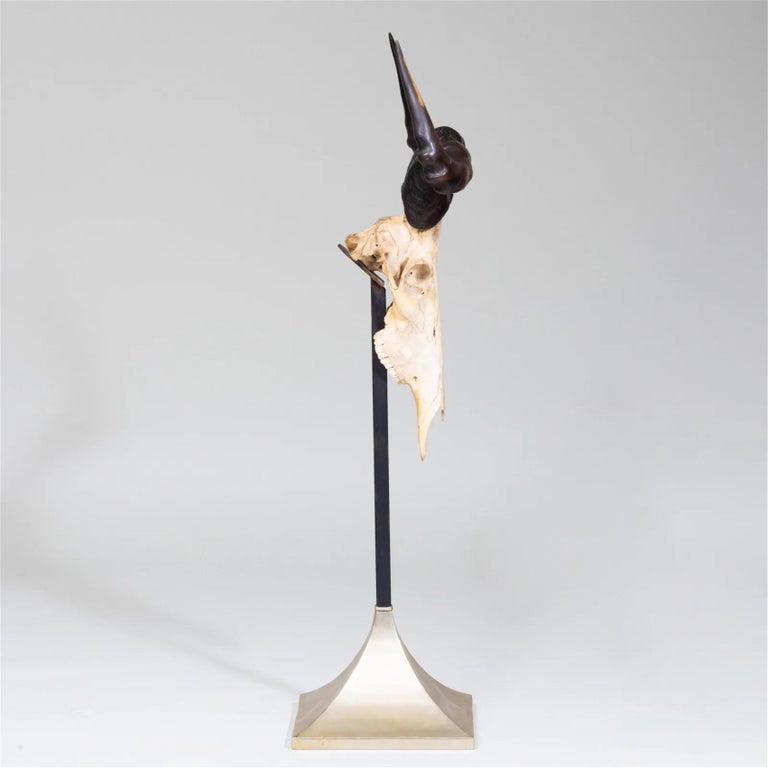 African Antelope Hunting Trophy Mounted on a Zinc Stand For Sale at 1stDibs