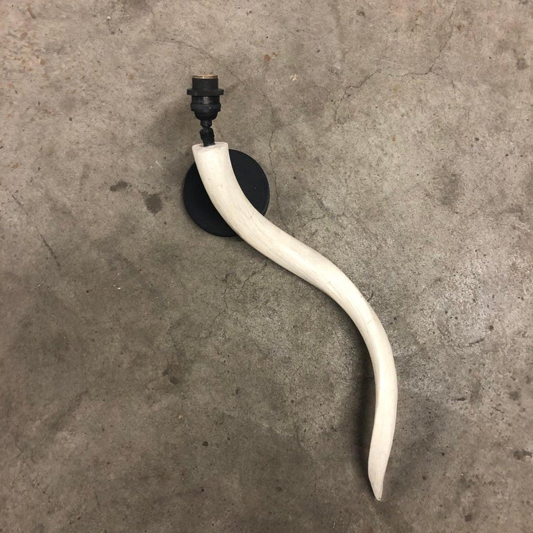 African Kudu Horn Wall Sconce For Sale at 1stDibs | african wall sconces