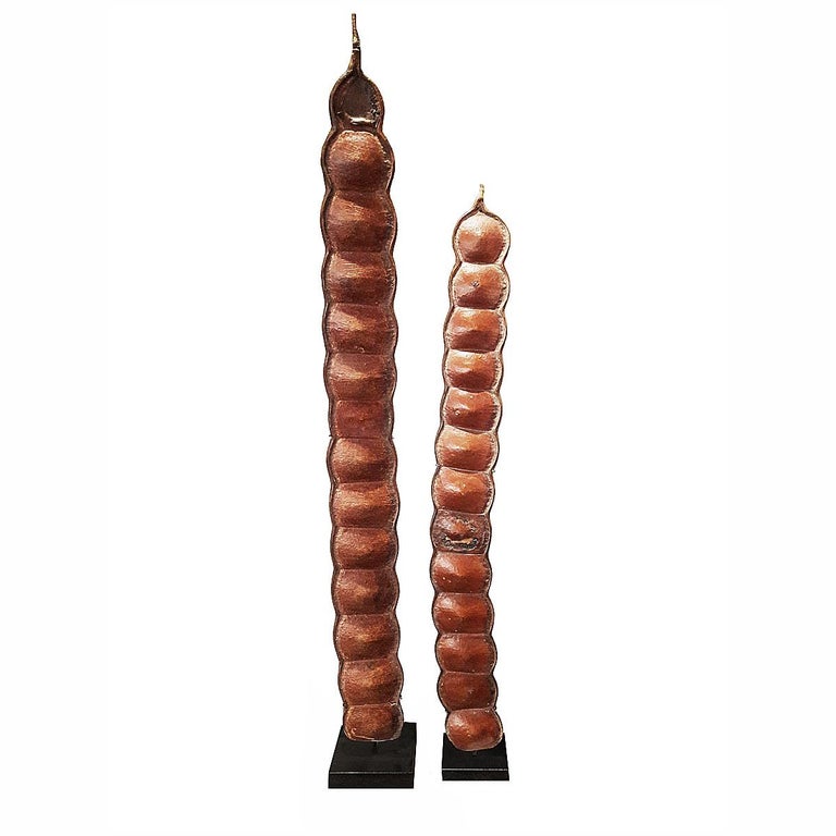 African Sea Heart Pods on Stand at 1stDibs
