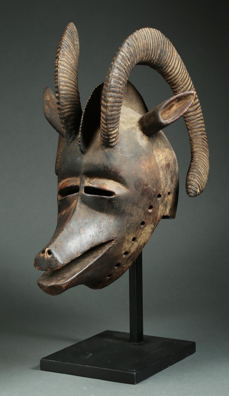 African Tribal Large Ram Mask, Bobo Burkina Faso Early 20th Century ...