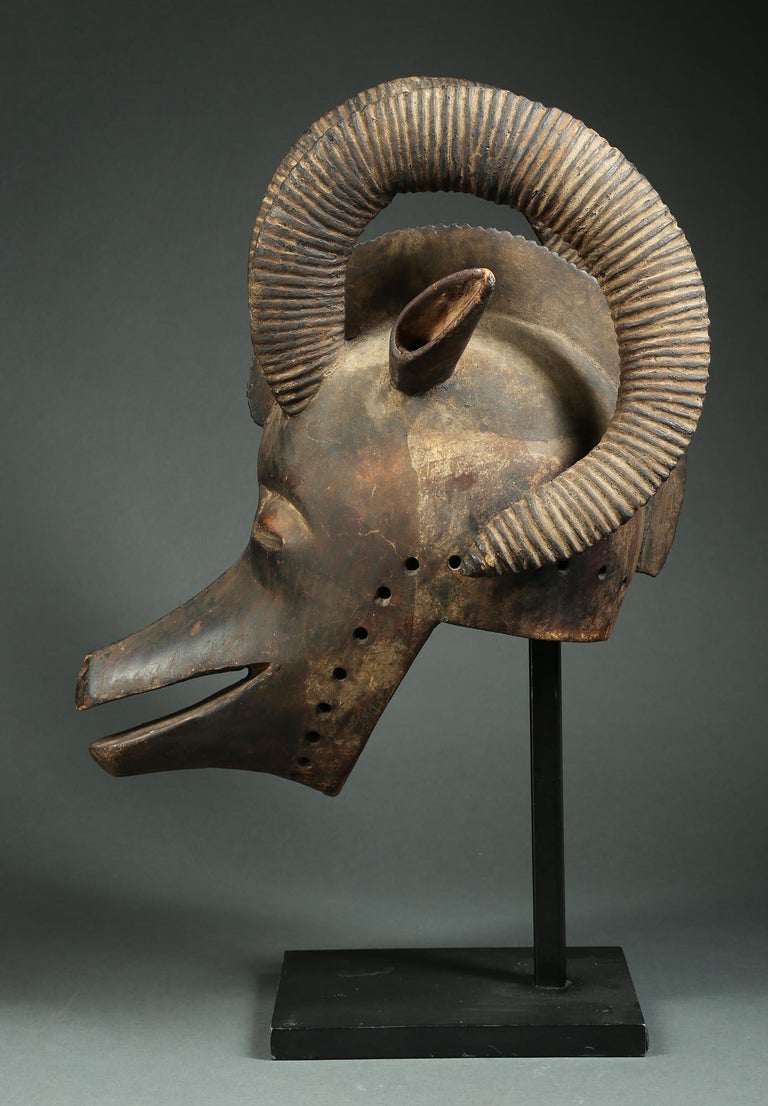 African Tribal Large Ram Mask, Bobo Burkina Faso Early 20th Century ...