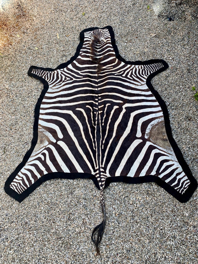 African Burchell Zebra Hide Rug at 1stDibs