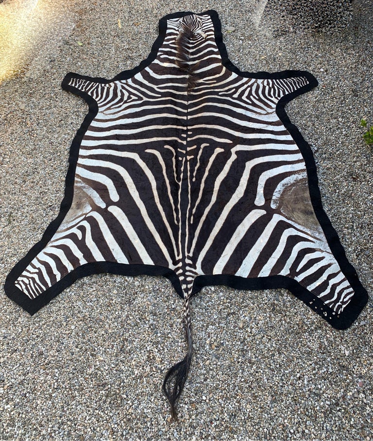 African Burchell Zebra Hide Rug at 1stDibs