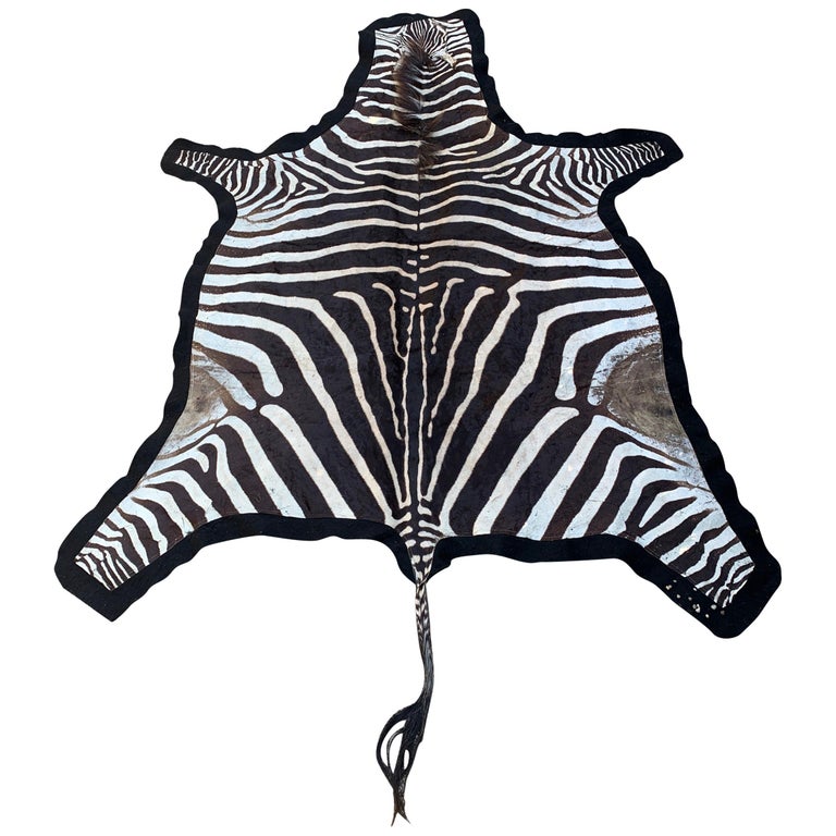 African Burchell Zebra Hide Rug at 1stDibs