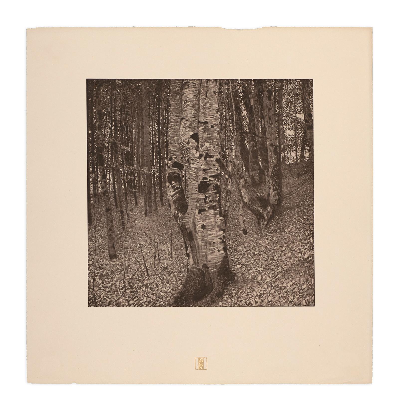 Birch Forest by Gustav Klimt, Das Werk Gustav Klimts landscape nature ...