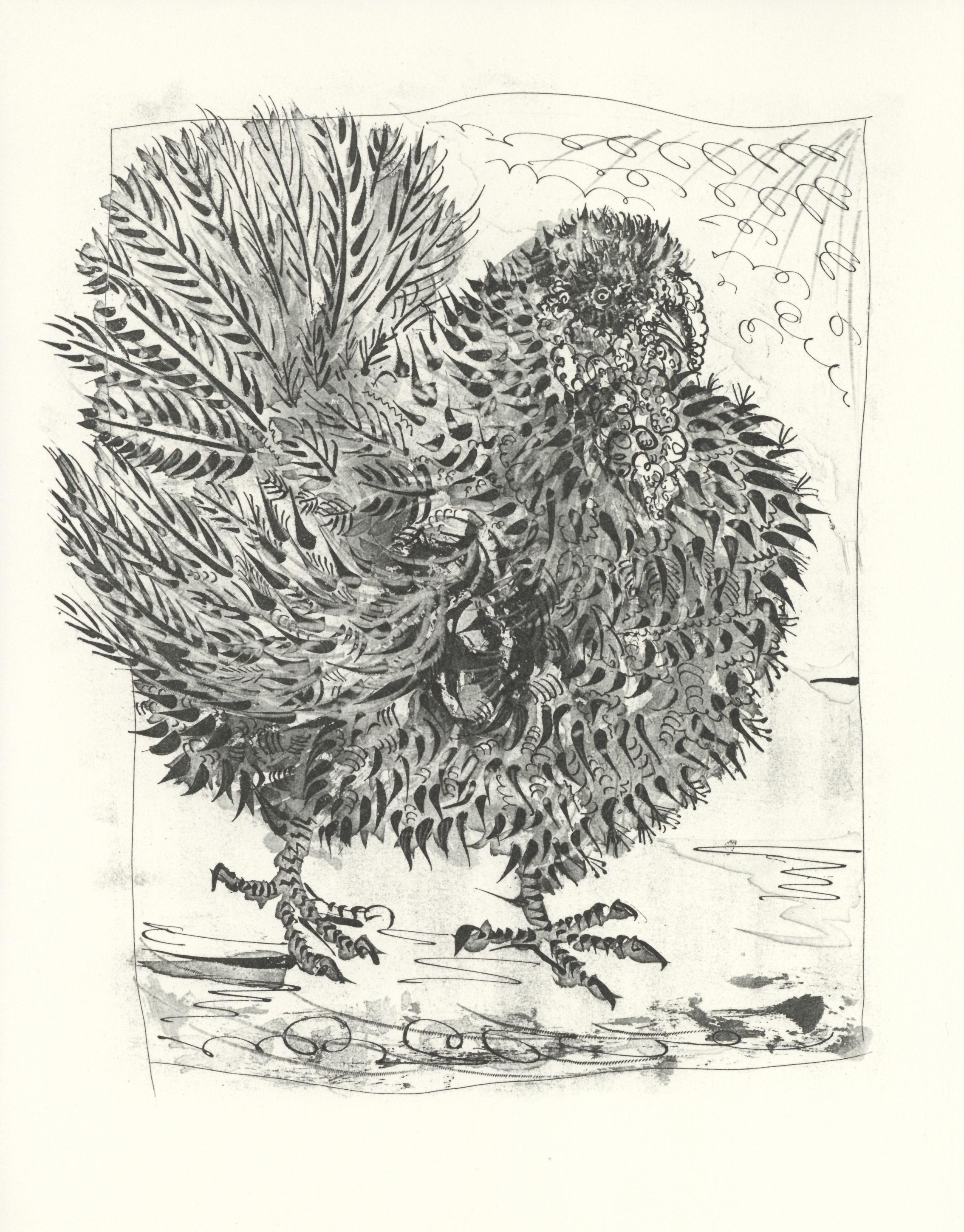 (after) Pablo Picasso - Le Dindon - The Turkey For Sale at 1stDibs ...
