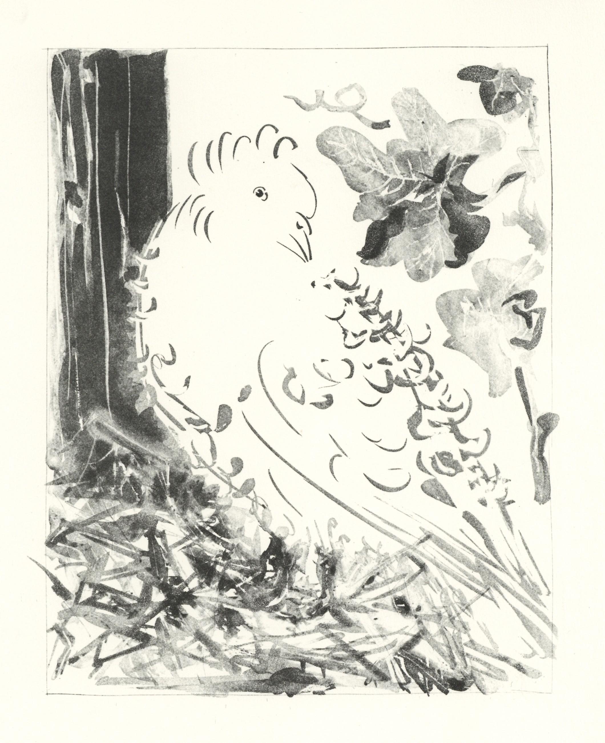 (after) Pablo Picasso - Le Pigeon For Sale at 1stDibs