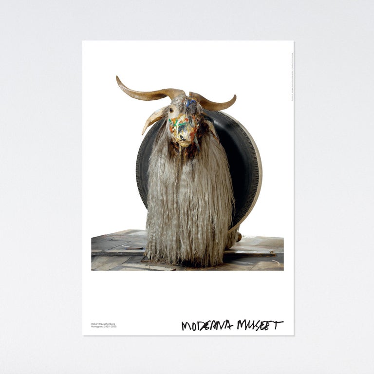 Robert Rauschenberg Canyon