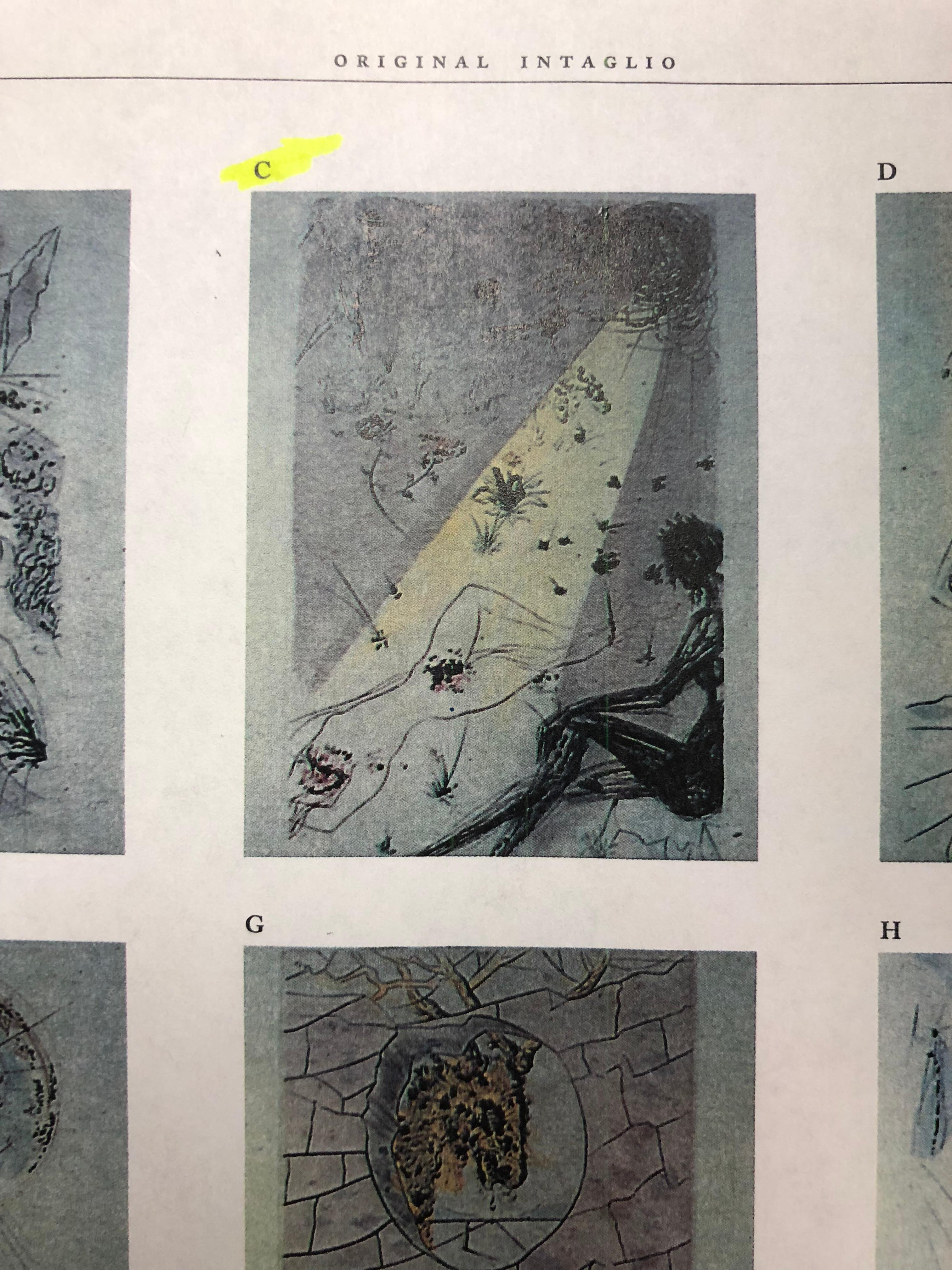 (after) Salvador Dali - "Looke not upon mee that I am blacke: because ...