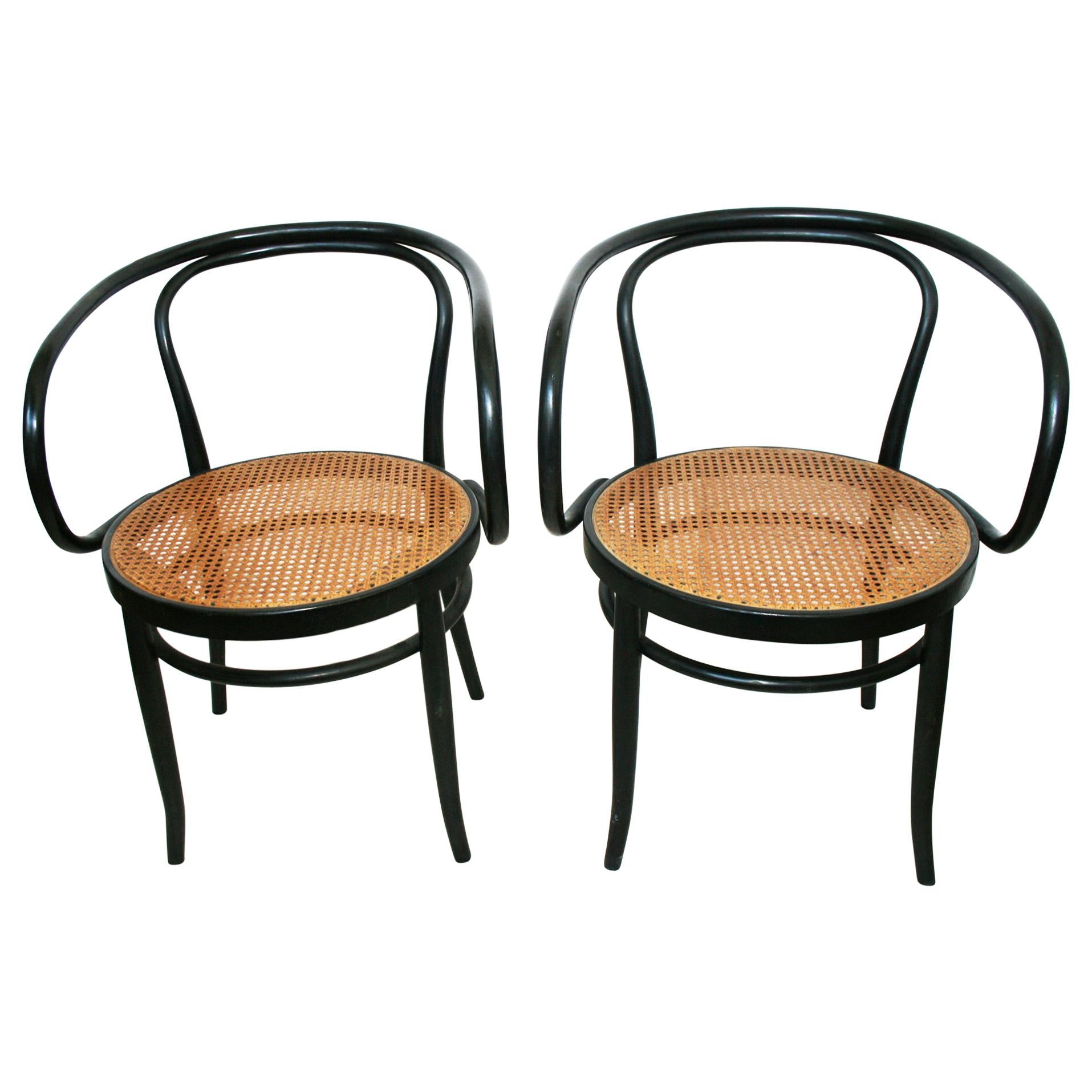 After Thonet 209, Pair of Cane and Black Bentwood Chairs, 1950s at ...