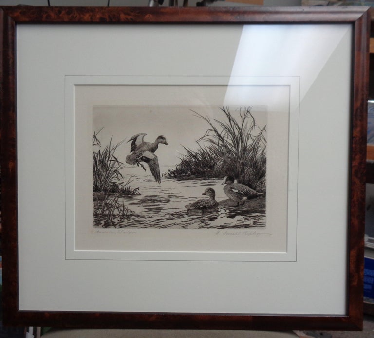 Aiden Lassell Ripley - 1942 Federal Duck Stamp Etching Aiden Lassell ...
