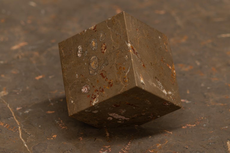 Aina Contemporary Jurassic Fossil Marble Glacies Cube, Living ...