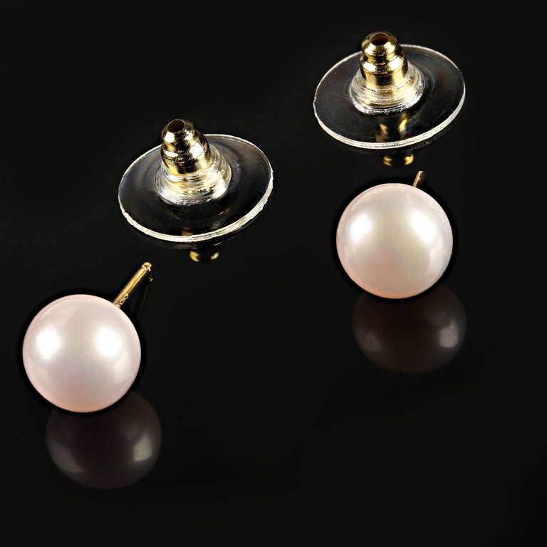 AJD Classic Pearly White Studs with 14k Posts For Sale at 1stDibs