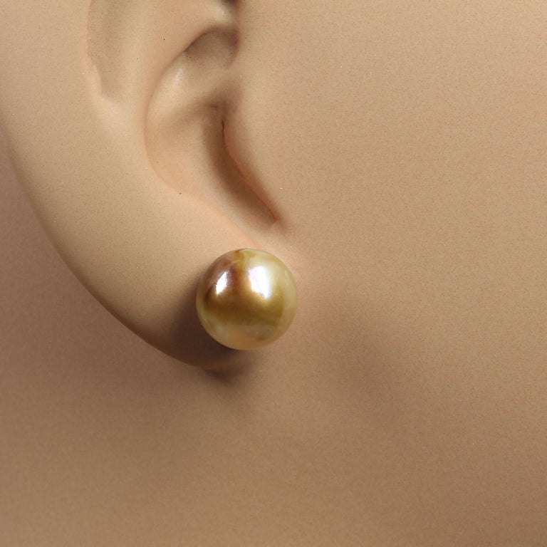 AJD Iridescent Bronze Pearl Studs with 14K Posts Great Gift! For Sale ...