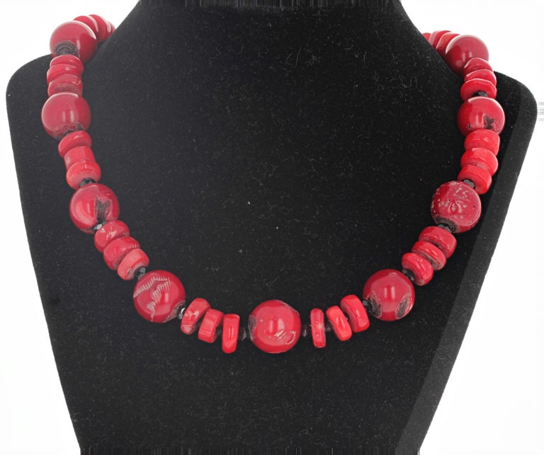 AJD Dramatically Elegant Strand of Natural Highly Polished Bamboo Coral ...