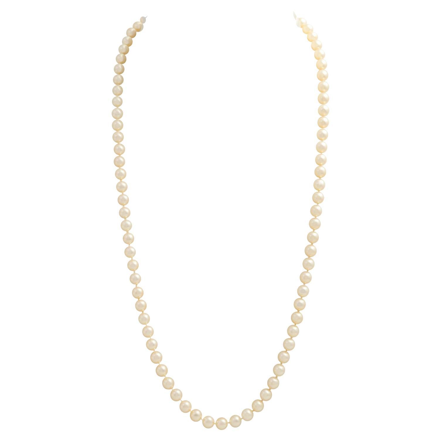 Strand of Fine Cultured Akoya Pearls with a Gold Clasp For Sale at 1stDibs