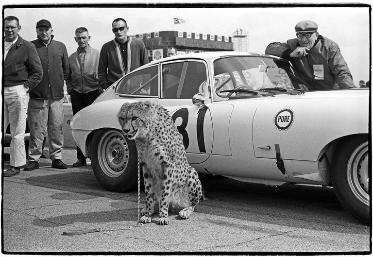 Al Satterwhite - Alfred Momo and Jaguar at 1stDibs