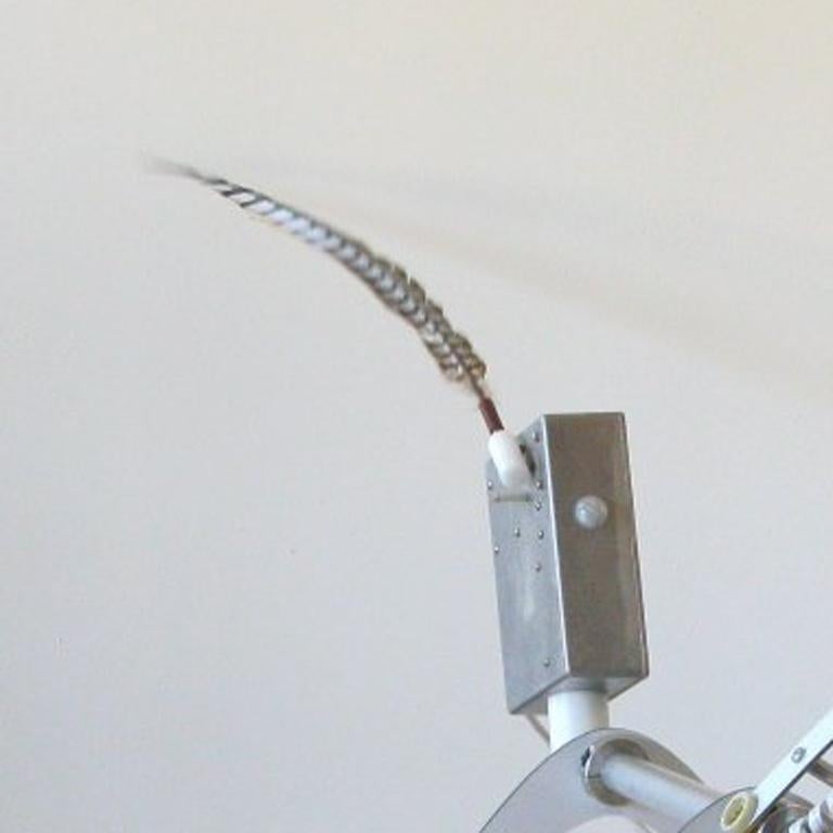 Alan Rath - Creature II, Sculpture For Sale at 1stdibs