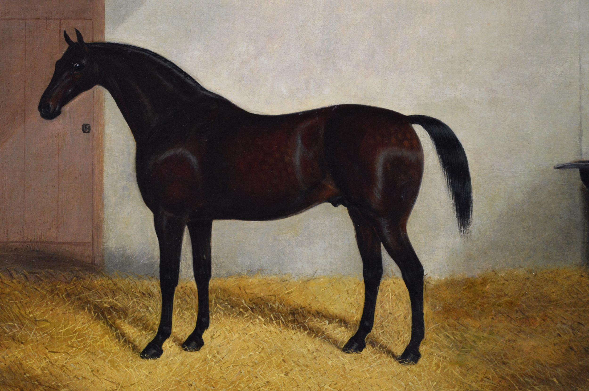 Albert Clark - Sporting portrait oil painting of a horse in a stable ...