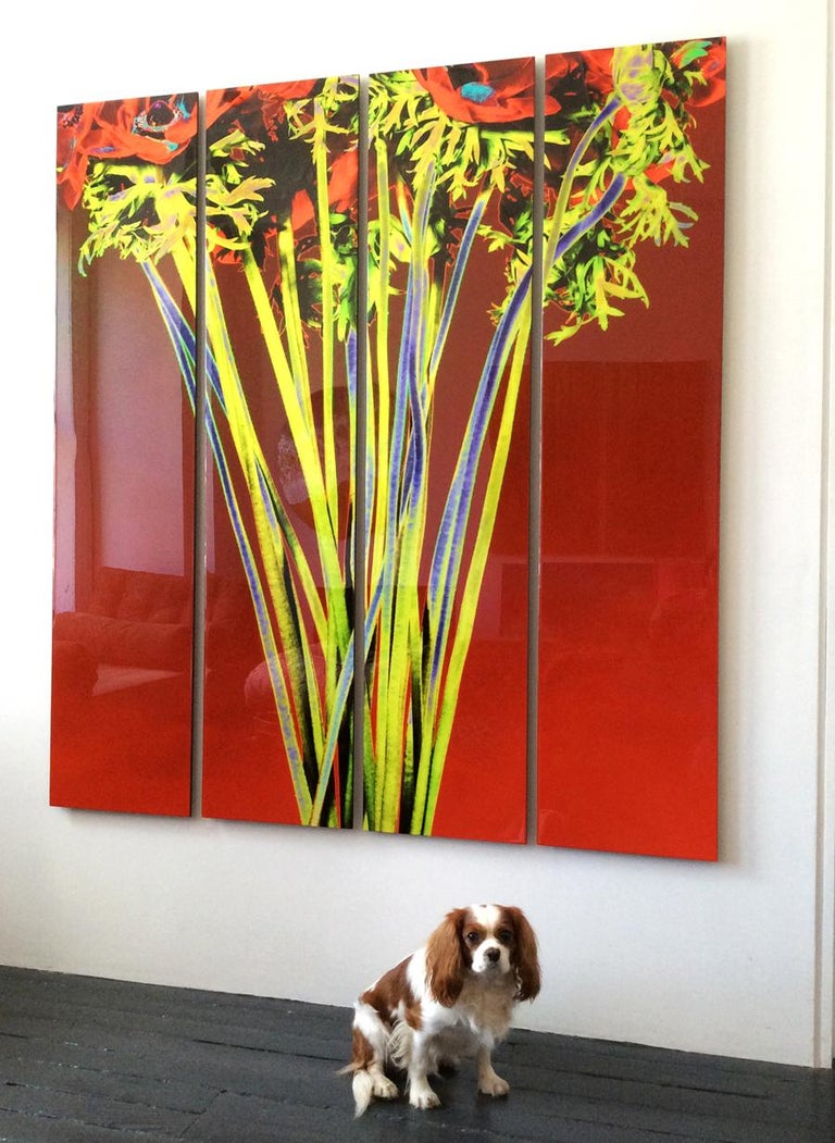 Albert Delamour - RED DOT SOL II TRIPTYCH- Large scale ( 66 x 56 ") on Dibond under Acrylic ...