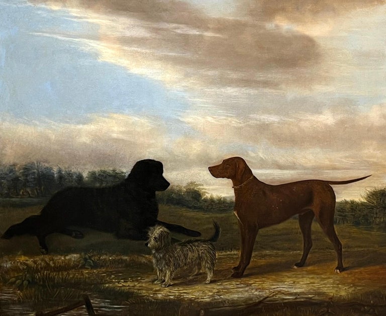 Albert S Bishop - The Family Favourites - A group of dogs in a ...