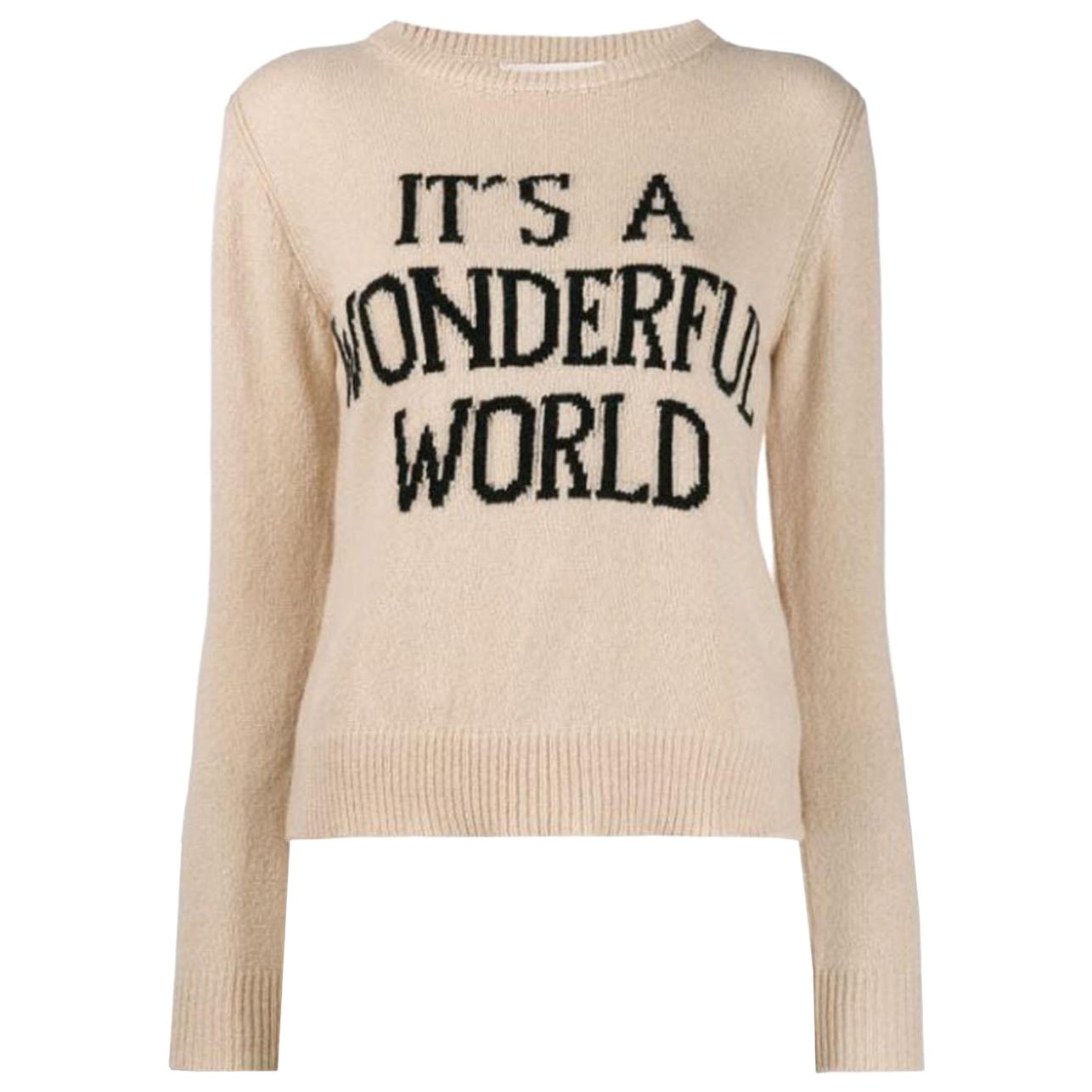 Vintage Chanel Sweat Shirt Sweater with Iconic CC at 1stDibs | vintage ...