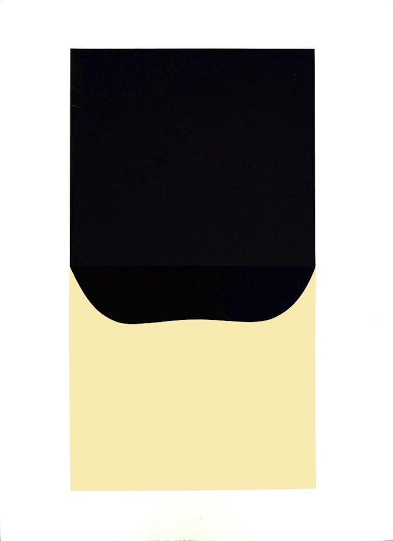 Alberto Burri - Bianchi e Neri II (Acetates) - Plate D - By Alberto ...