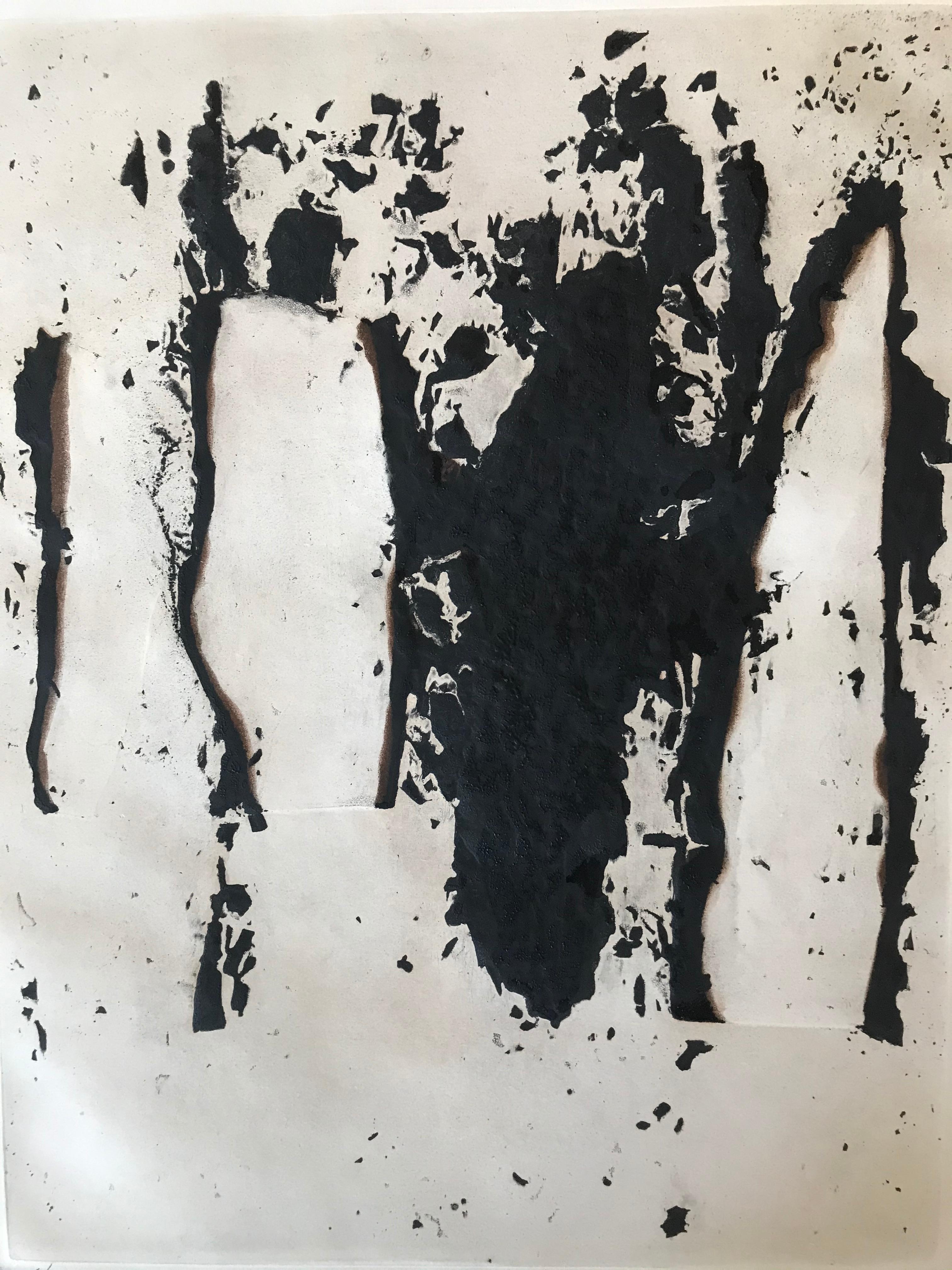 Alberto Burri - Alberto Burri - COMBUSTIONI - hand-signed etching and ...