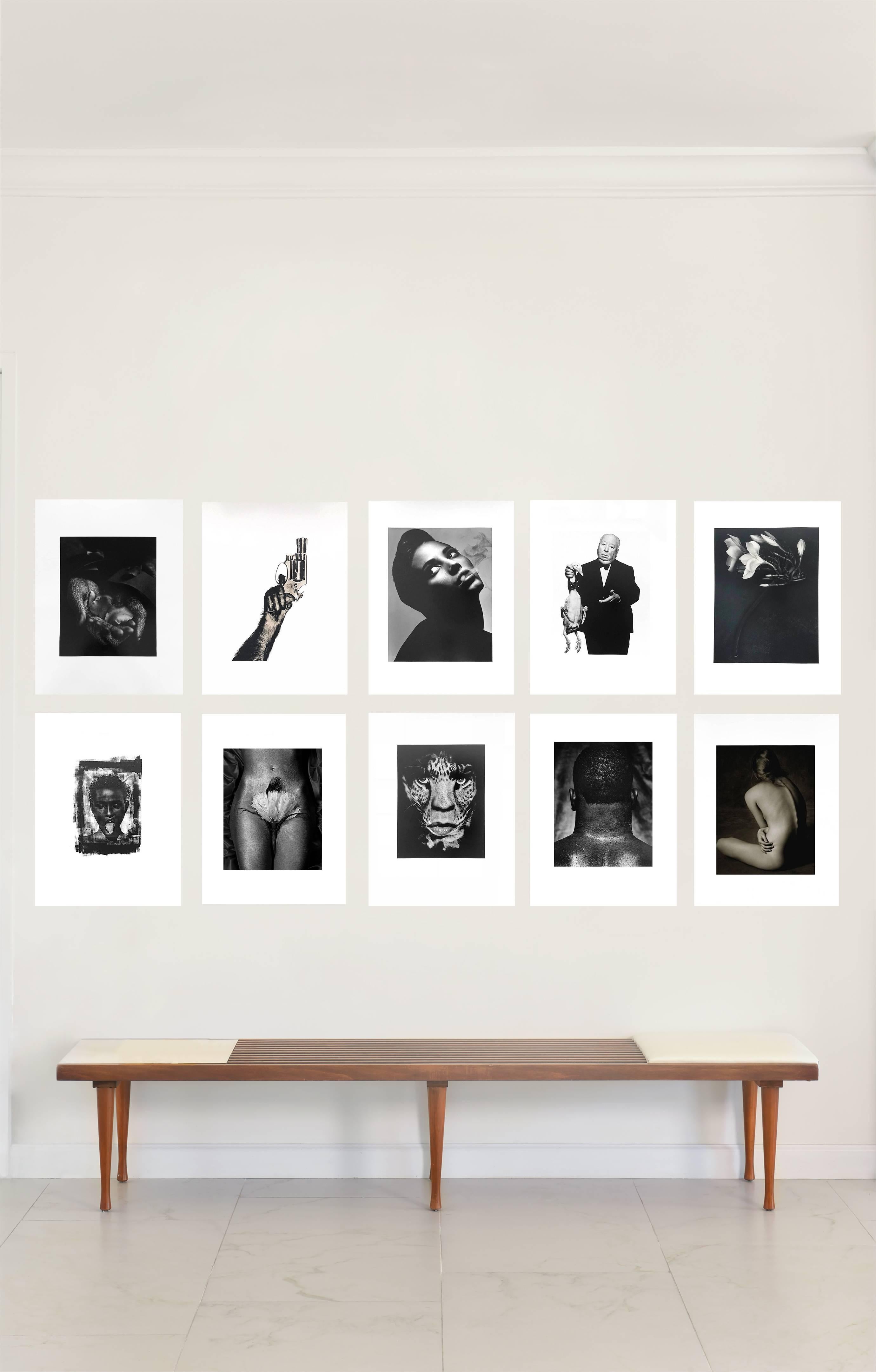 Albert Watson - Mick Jagger/Leopard – Albert Watson, photography ...