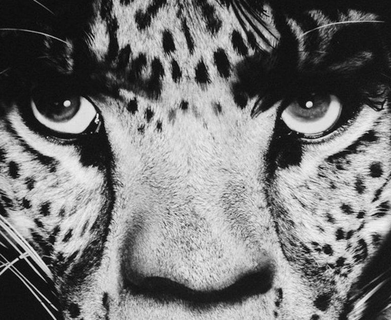 Albert Watson - "Mick Jagger, 1992", Gelatin Silver Print at 1stDibs