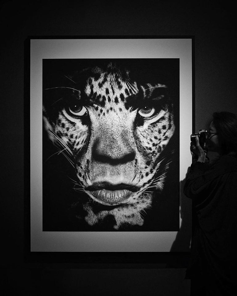 Albert Watson - Mick Jagger/Leopard – Albert Watson, photography ...