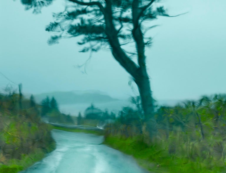 Albert Watson - Tree Fairy Glen View from Windshiel – Albert Watson ...