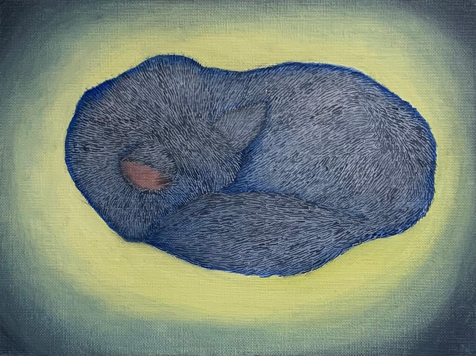 Aleksandra Bujnowska - Rabbit 2 - Contemporary Figurative Animals Oil ...