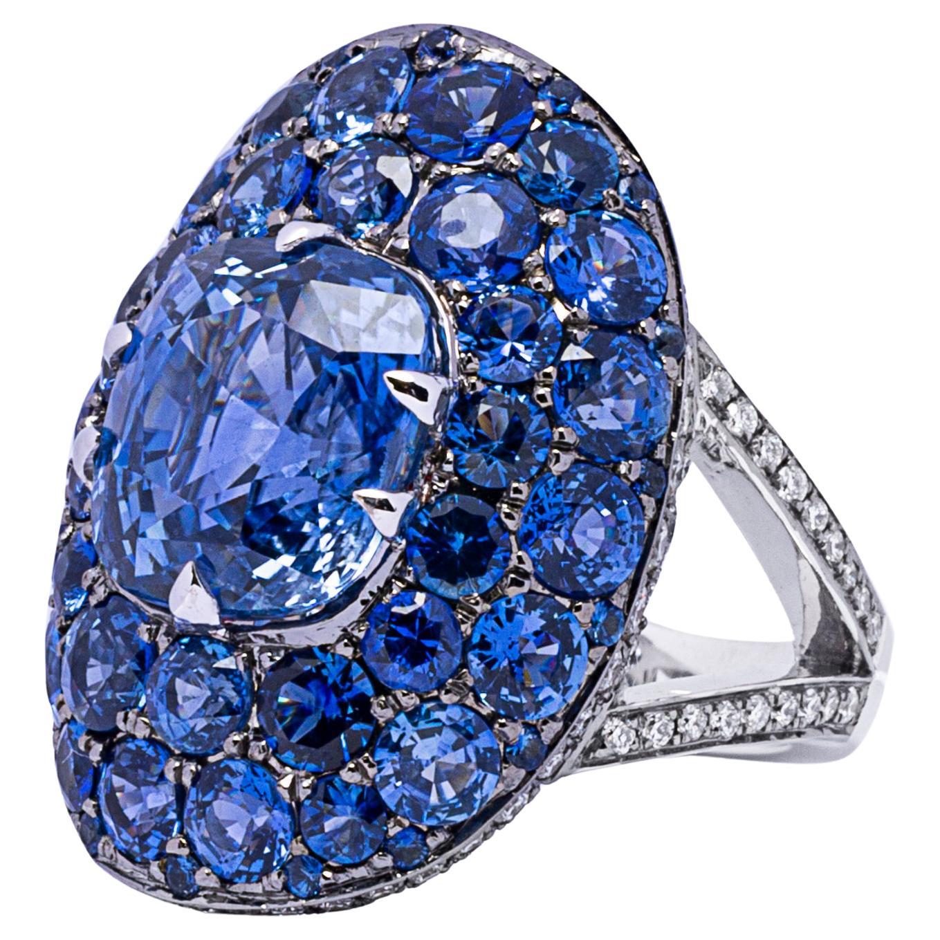Tiffany and Co. Schlumberger Double Bee Ring with Blue Sapphire ...