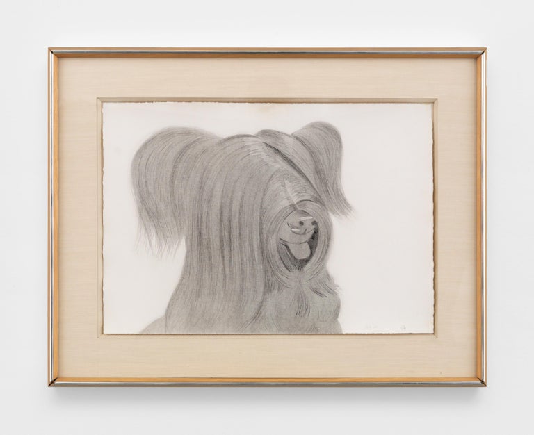 Alex Katz - Sunny For Sale at 1stDibs