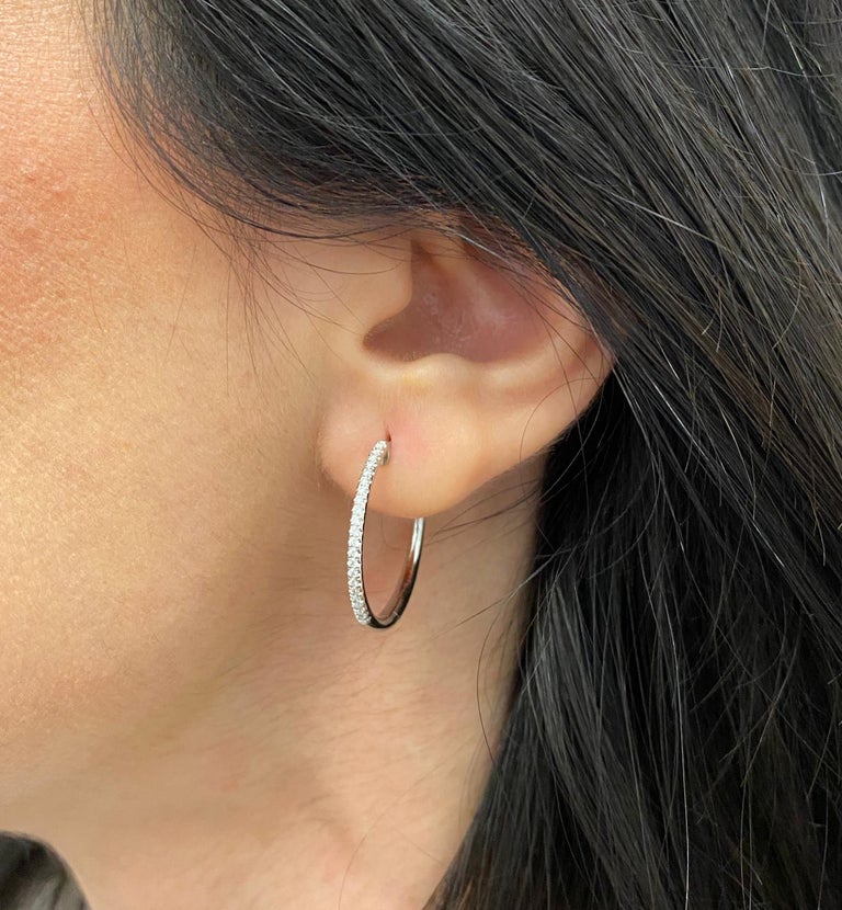 Alex Kou White Diamonds Hoop Earrings 18k Gold For Sale at 1stDibs