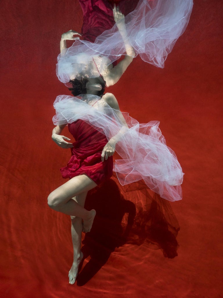 Alex Sher - Blood and Milk I - underwater photograph - print on paper ...
