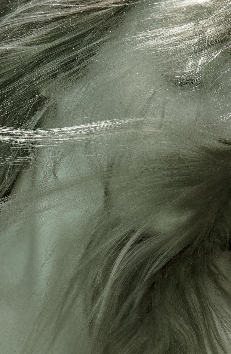 Alex Sher - The Angel Hair - underwater photograph - print on paper 18 ...
