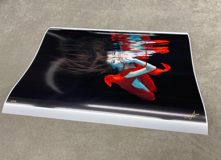 Alex Sher - Water Lily - underwater photograph - print on paper 18 x 24 ...