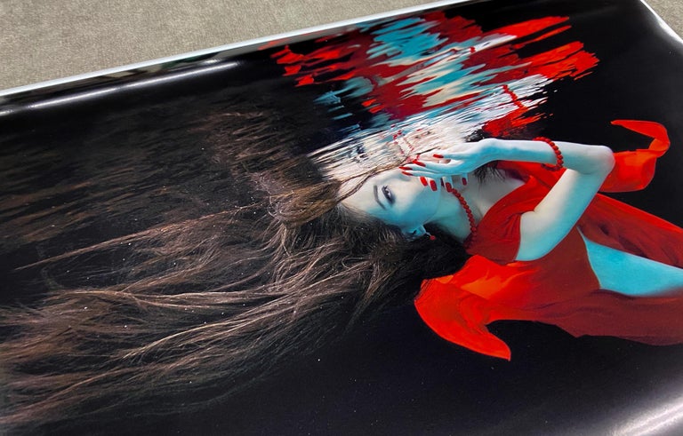 Alex Sher - Water Lily - underwater photograph - print on paper 18 x 24 ...
