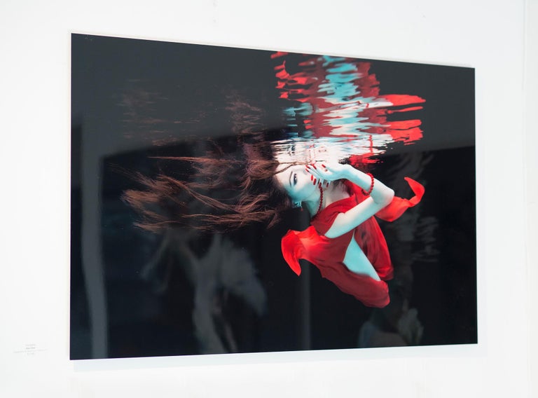 Alex Sher - Water Lily - underwater photograph - print on aluminum 23 ...